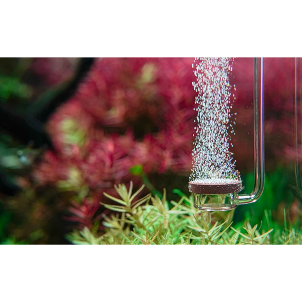 NEO Diffuser Curved Special L - Indie Aqua