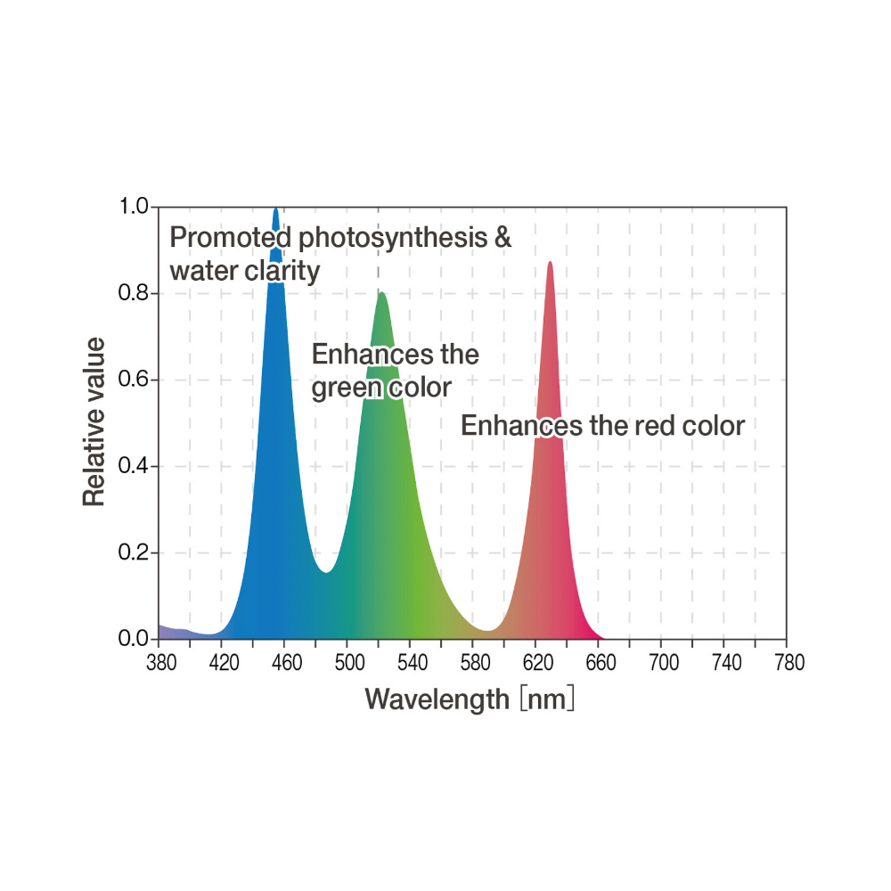 ADA AQUASKY RGB 60 BLACK - Indie Aqua