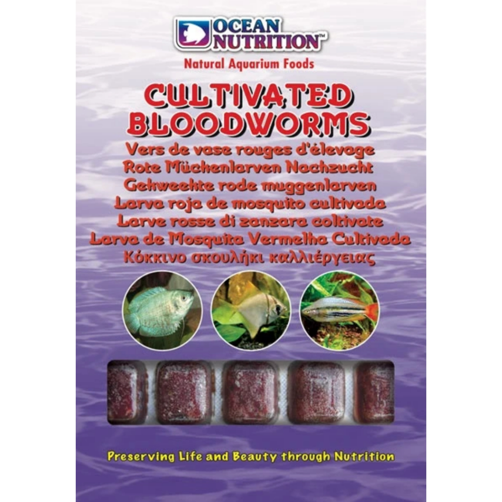 OCEAN NUTRITION CULTIVATED BLOODWORMS 100G - Indie Aqua